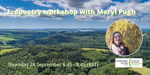 Ecopoetry workshop with Meryl Pugh :: National Association of Writers ...