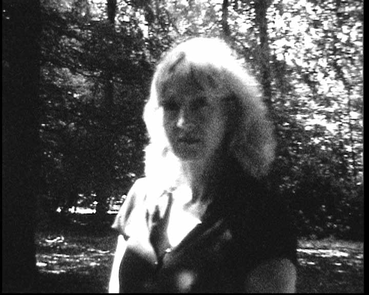 Digital Poetry Goes Live :: National Association of Writers in Education